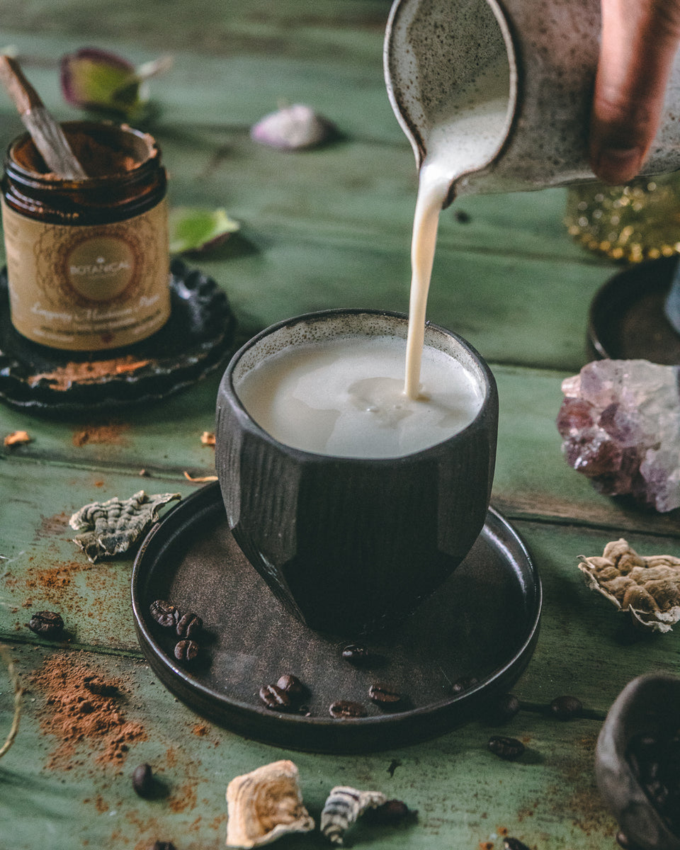 Longevity Mushroom Mocha – Botanical Lucidity