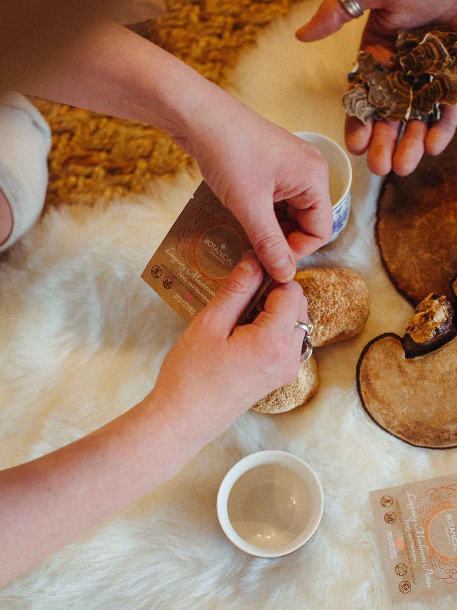 Variety Pack: 6 Trial Packets – Botanical Lucidity