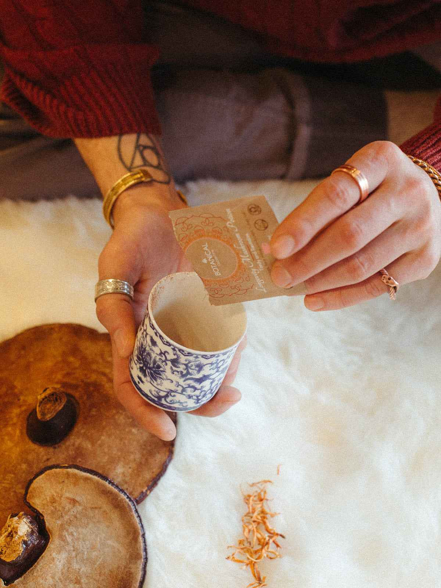 Variety Pack: 6 Trial Packets – Botanical Lucidity